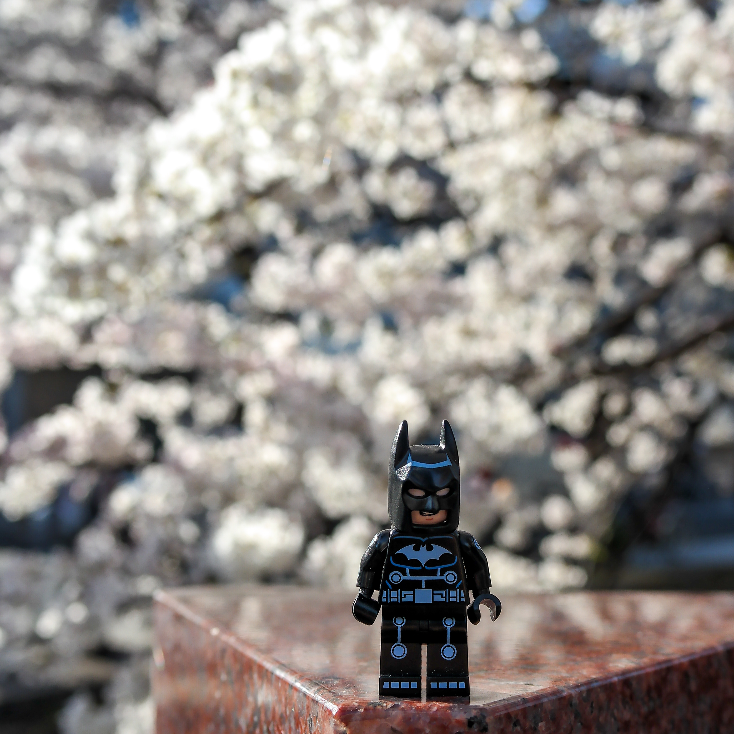 Batman goes to Kyoto Japan – HilaryStyle