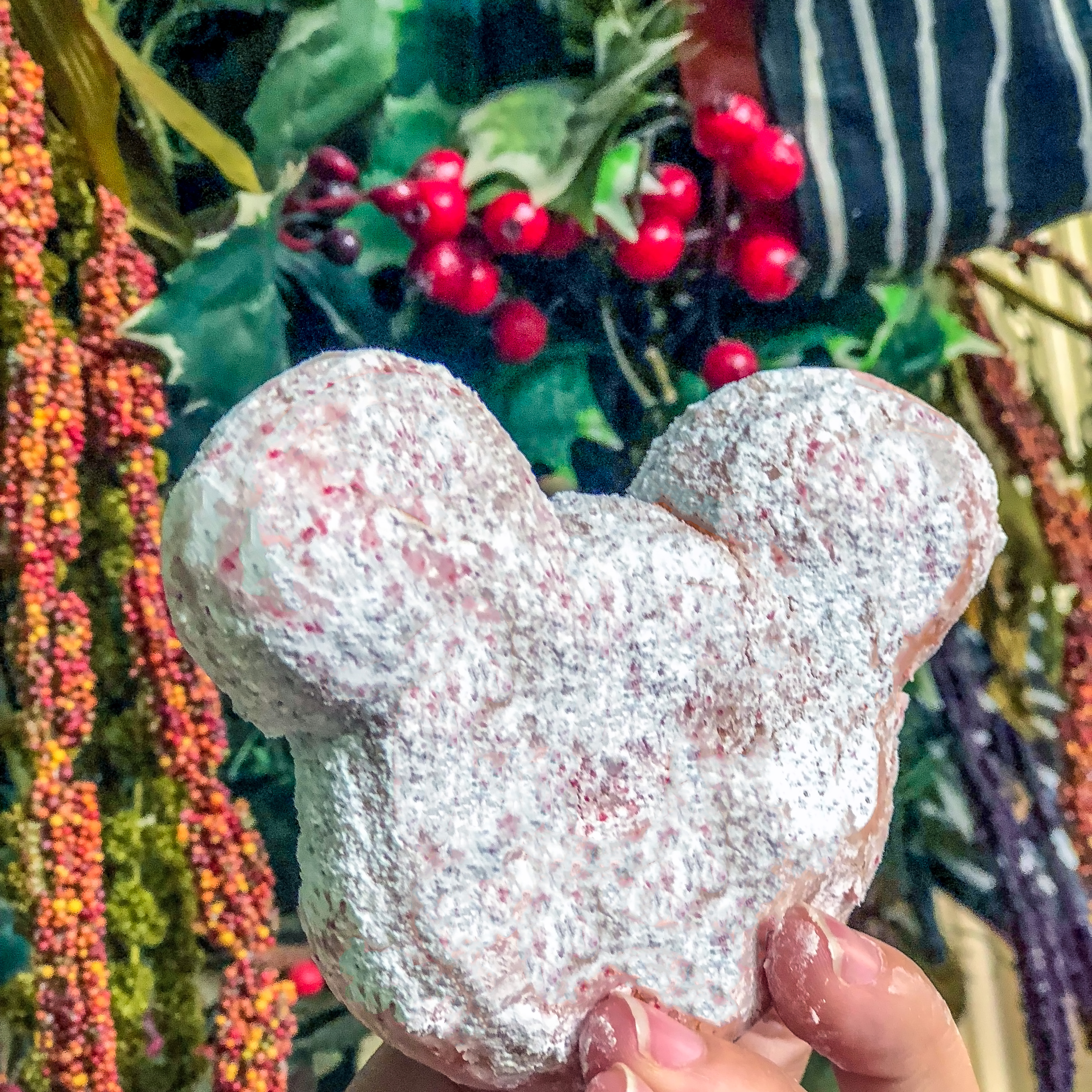 Disneyland Peppermint Beignets Disneyland California | HilaryStyle